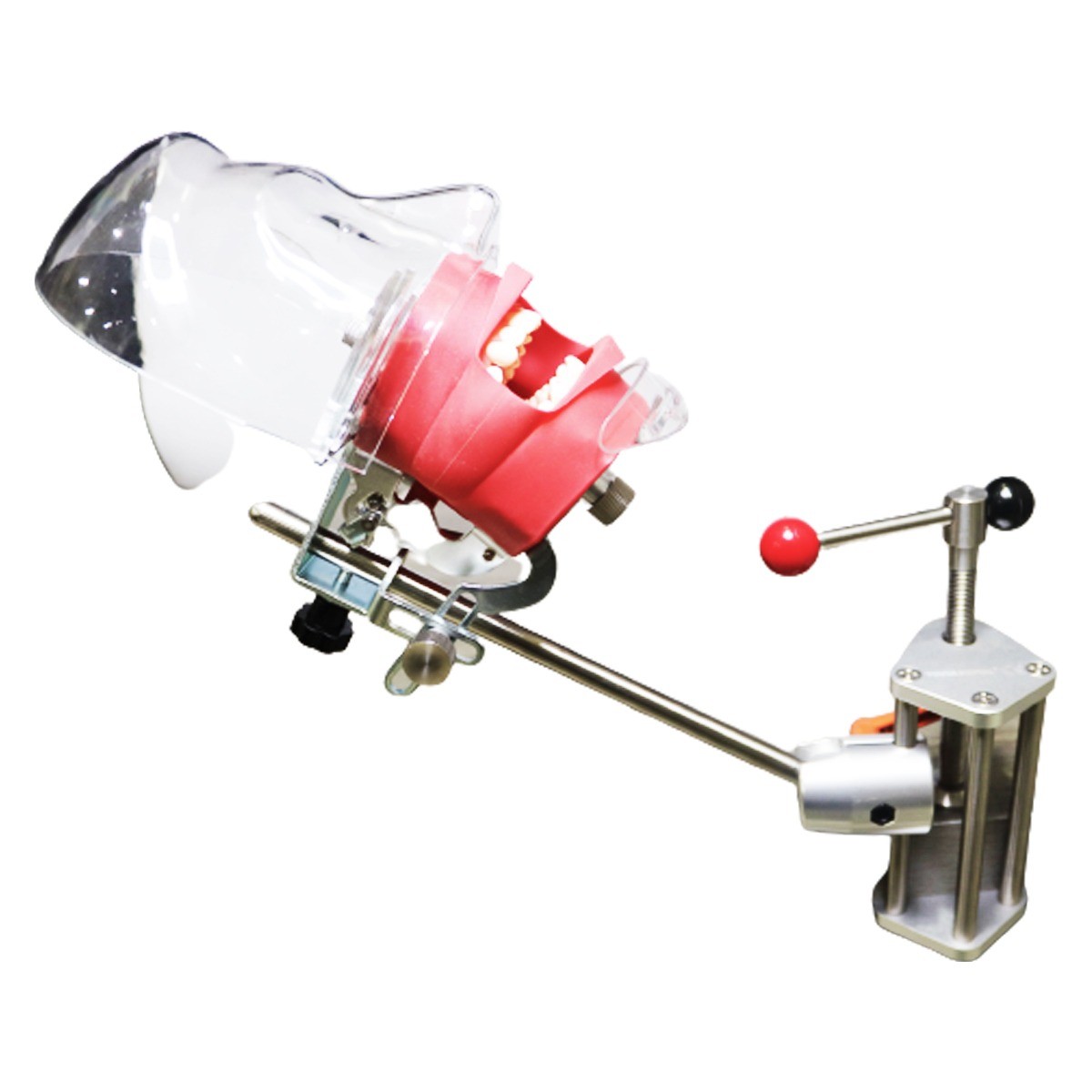 Buy Phantom head complete - table mount , Dental Equipment Online in ...